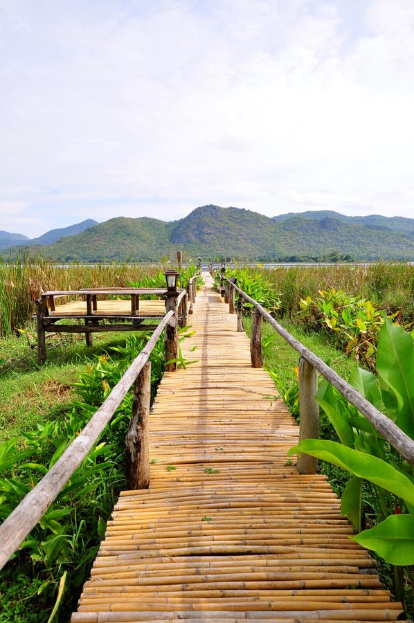 Bamboo Walk Path To the Huts Stock Photo - Image of rural, nature ...