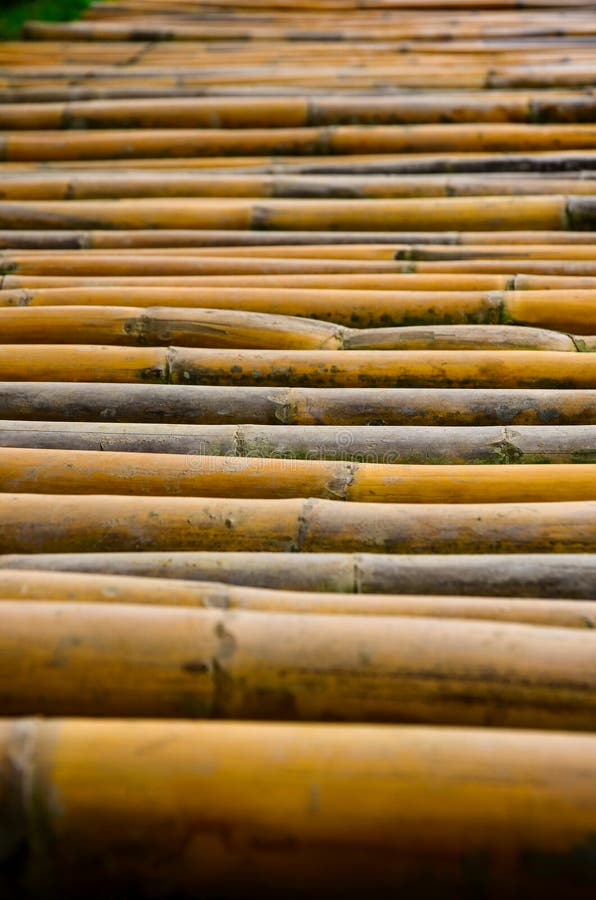 Bamboo Forest Way Wall Stock Photos - Free & Royalty-Free Stock Photos ...