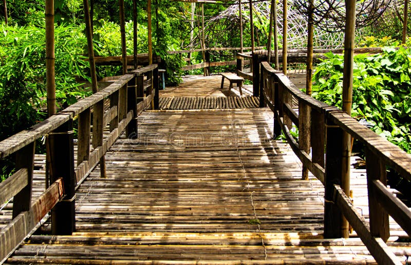 Bamboo Walkway Over the Forest Stock Photo - Image of landscaping ...