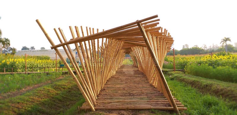 Bamboo Walkway Stock Photos - Download 3,630 Royalty Free Photos