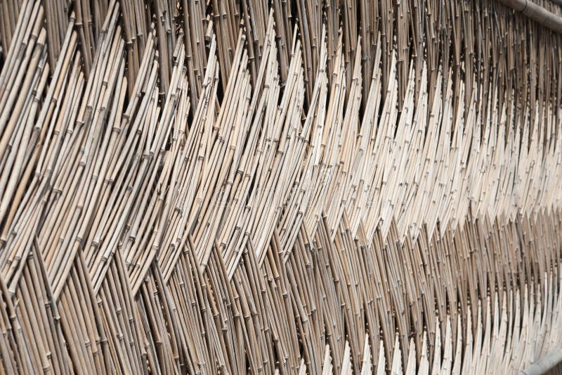 Bamboo wall stock image. Image of natural, fence, oriental - 24111773