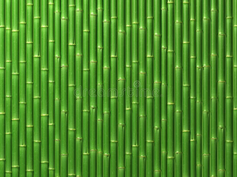 Bamboo Wall Texture Seamless Pattern Stock Vector - Illustration of ...