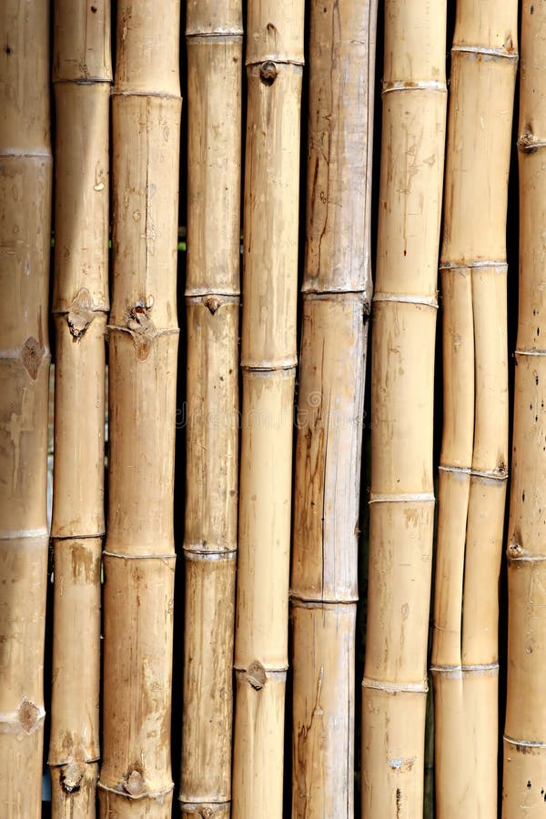 Wood Bamboo Background stock image. Image of warm, natural - 20588359
