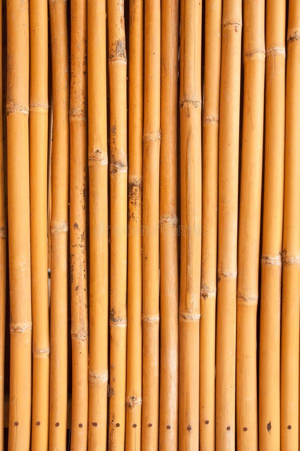 Bamboo wall. stock image. Image of desktop, wood, orange - 8270179