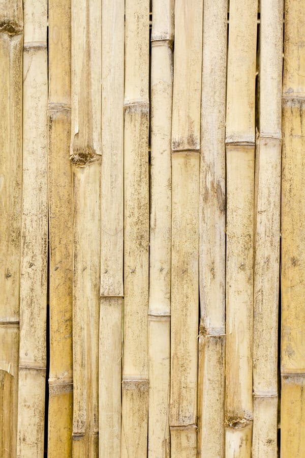 Native Style Bamboo Background Pattern Philippines Stock Image - Image ...