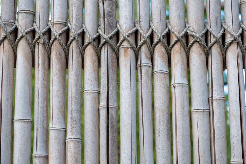 Bamboo Wall, Bamboo Fence Background Stock Image - Image of background ...