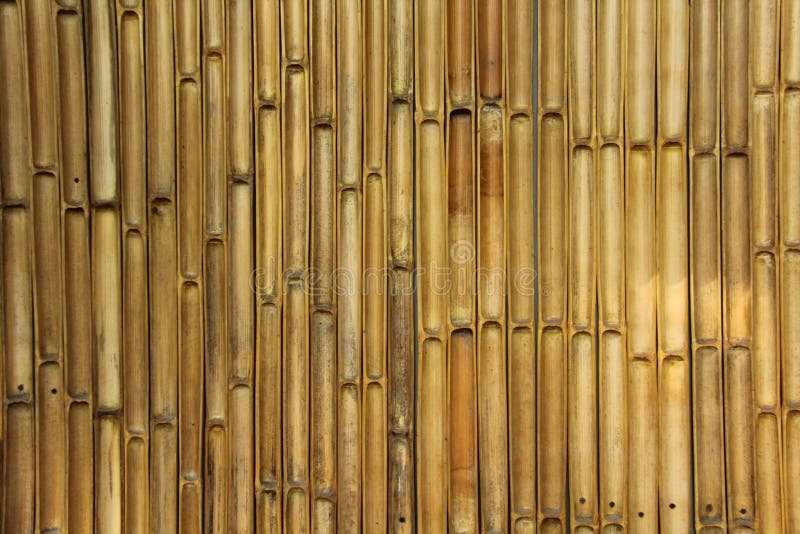 Bamboo wall. stock photo. Image of outdoor, texture, wood - 32433654