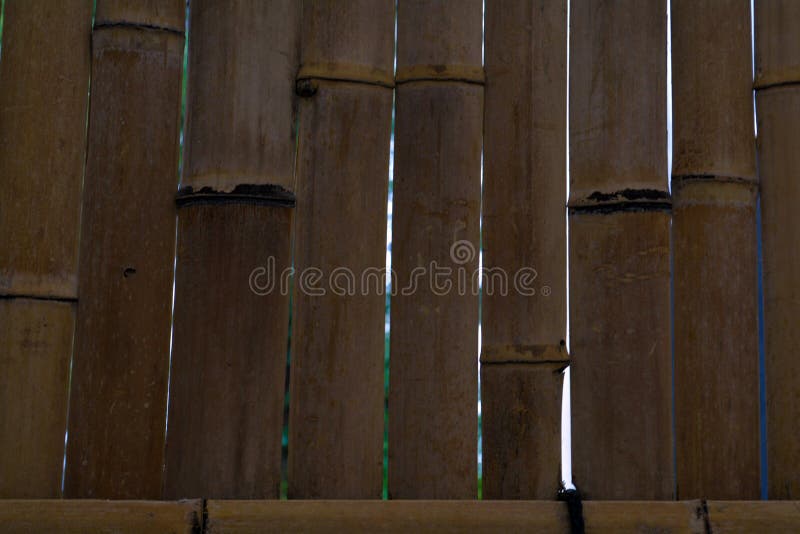 Texture Composition - Dry Bamboo Wall Stock Photo - Image of decoration ...