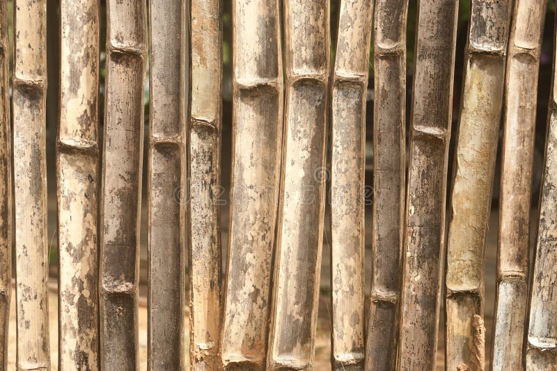 545 Bamboo Strip Texture Stock Photos - Free & Royalty-Free Stock ...