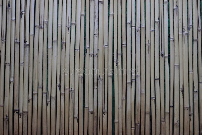 Bamboo wall texture stock photo. Image of beige, layers - 96538032