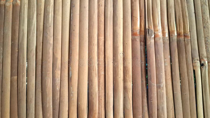 Bamboo Wall Texture Made from Cut Bamboo Stems Aligned Vertically for ...
