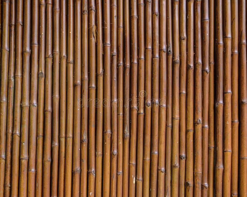 Bamboo wall stock photo. Image of abstract, frame, asia - 32221456