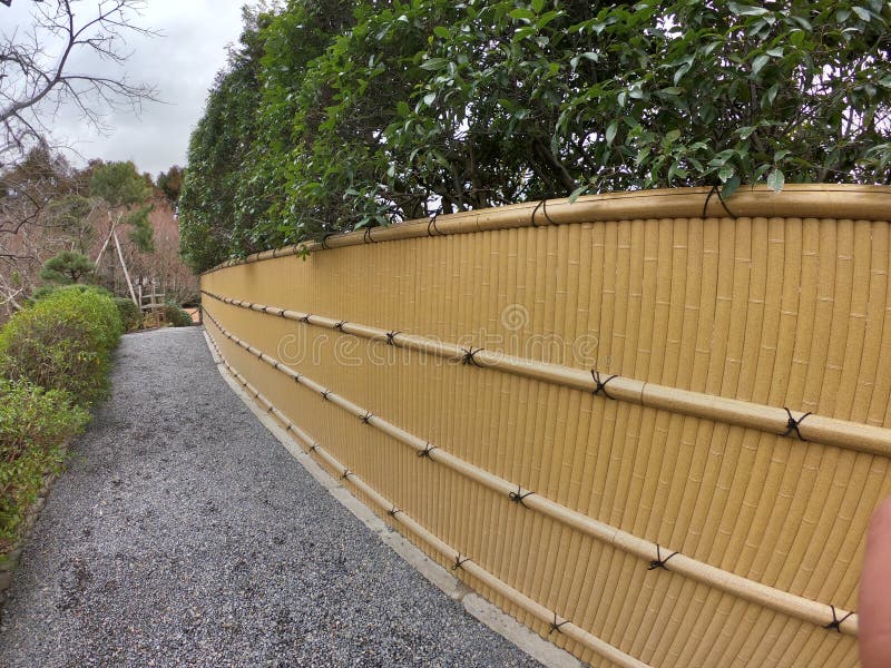 The bamboo wall on the way stock image. Image of pile - 180421613