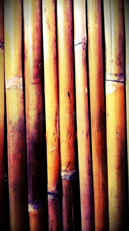 Old Wall Old Bamboo Old Woof Stock Photos - Free & Royalty-Free Stock ...