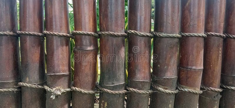 Bamboo Walls for Garden, Its Very Nice for Background in Slide Stock ...