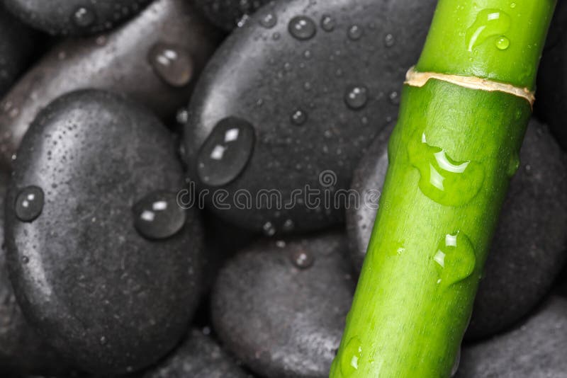 Bamboo with Water Drops and Stones Stock Image - Image of organic ...