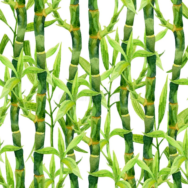 Bamboo Watercolor Seamless Pattern Stock Illustration - Illustration of ...