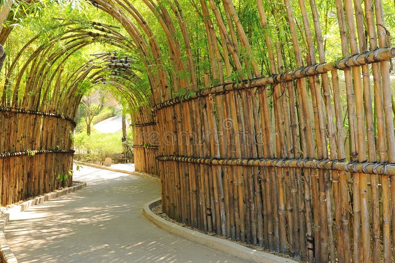 Bamboo tunnel stock image. Image of perspective, arbour - 28718269