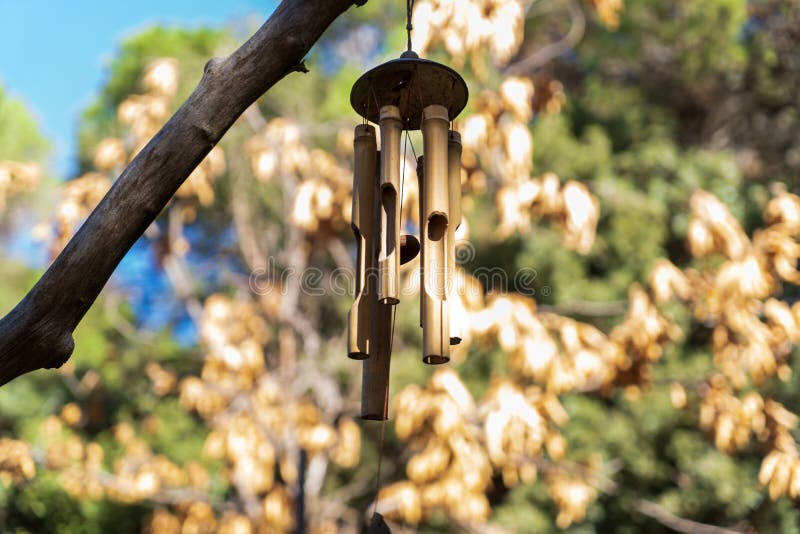 Bamboo Wind Chime Hanging from Tree Branch Stock Image - Image of ...