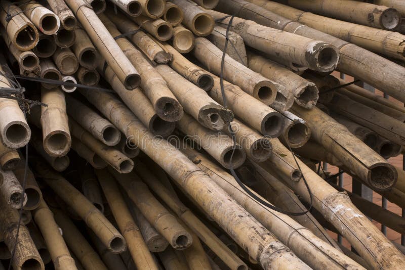 Bamboos stock image. Image of natural, element, garden - 14212543
