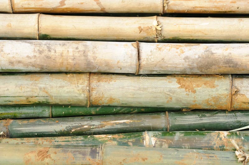 Cut Bambo stock image. Image of stalk, asian, detail, pole - 37655