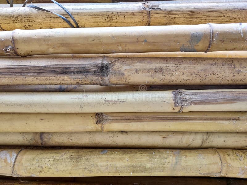 Bamboos for Construction Site in Hong Kong Stock Photo - Image of ...