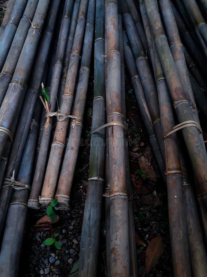 Bamboos are Neatly Arranged, Ready for Crafting. Stock Photo - Image of ...