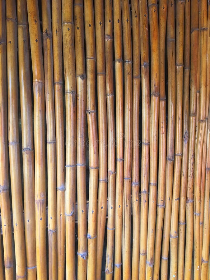 Bambus stockbild. Bild von gelb, haus, nave, bambus - 113474007