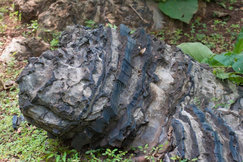 Banded Rock Formations in India Stock Photo - Image of geology, dewas ...
