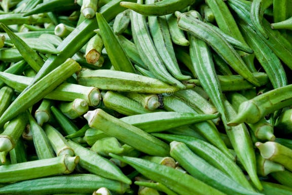Bamia stock image. Image of bunch, close, heap, pile - 18250375