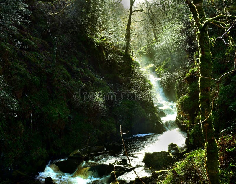 Banagher Glen waterfall 2 stock image. Image of contrast - 186785151