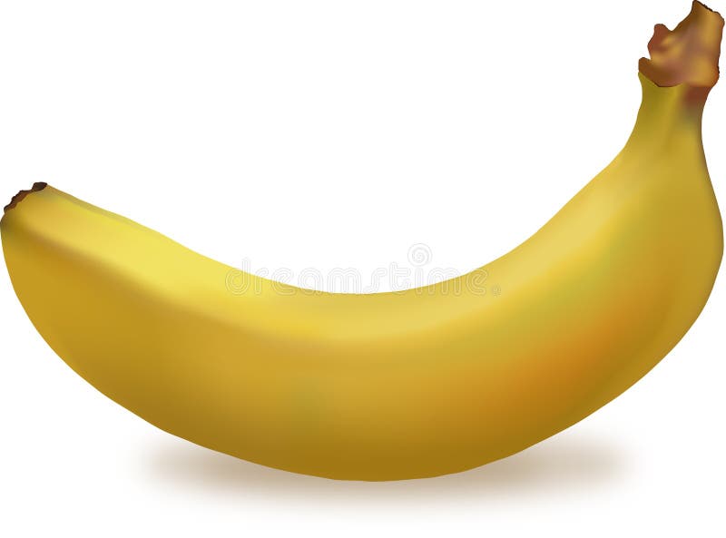 Banan vektor illustrationer. Illustration av yellow, objekt - 7059035