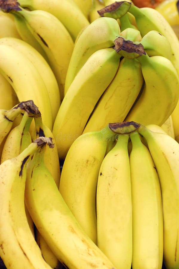 Lots of Bunches of Bananas. Stock Image - Image of skin, natural: 2748359