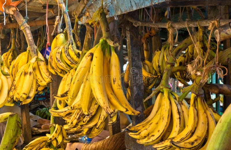 Banana stock image. Image of market, shopping, stone - 13583957