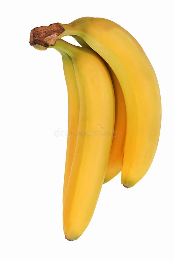 Banana stock image. Image of local, exotic, hand, flora - 15955761