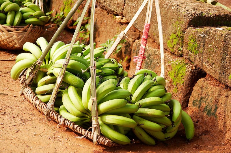 Bike without Driver? Bike Loaded Upwards with Many Bunches of Green ...