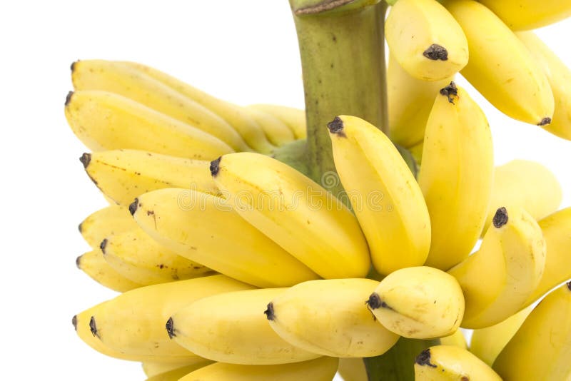 Banana bunch cluster stock photo. Image of isolated, nature - 38776552
