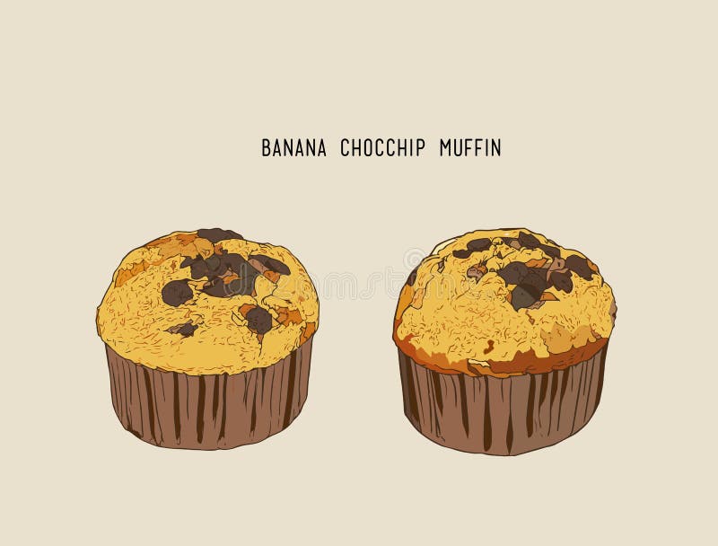 Banana Chocolate Chip Muffins , Sketch Vector. Stock Vector ...