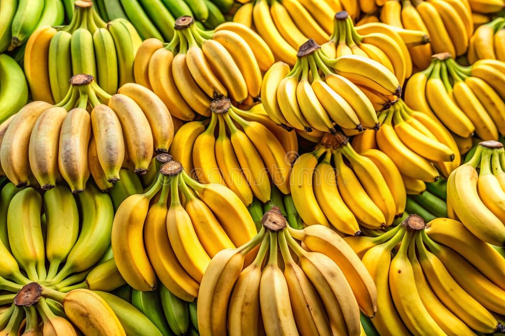 Banana Collection a Diverse Selection. Generated Using AI. Stock ...