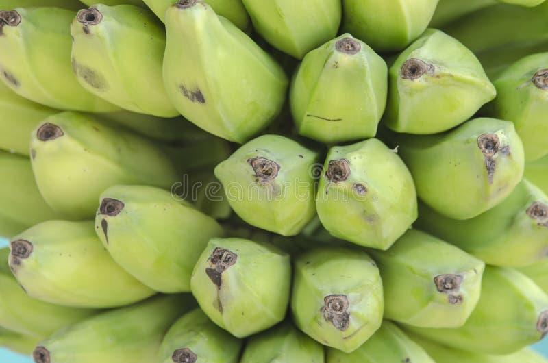 Banana comb nature stock photo. Image of green, real - 46127610