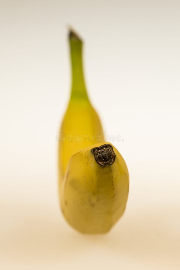 Banana with front stock image. Image of white, background - 45254691