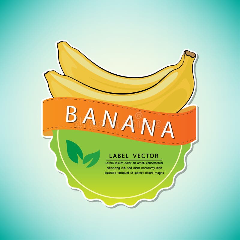 Fruit label, Banana stock vector. Illustration of menu - 37359652