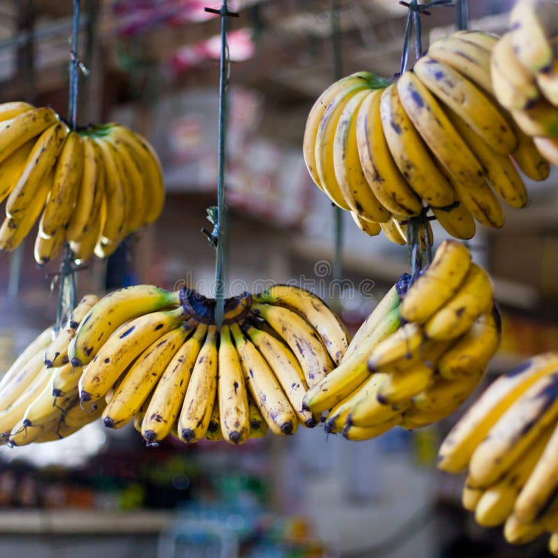 Banana Hanging in Asian Market Stock Image - Image of fruit, plantation ...