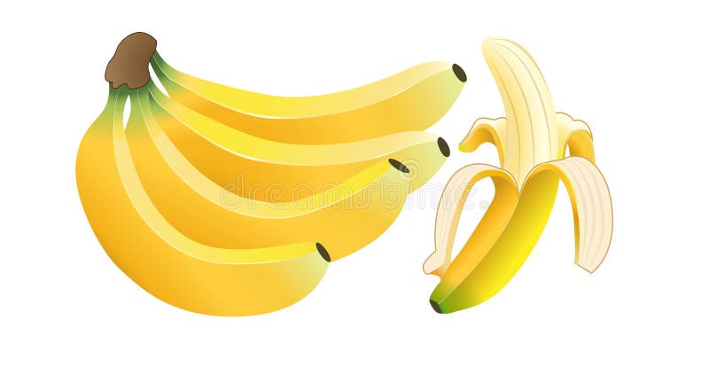 Banana with High Resolution Vector Stock Vector - Illustration of juice ...