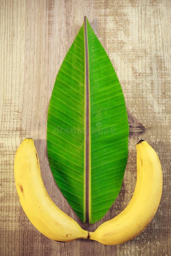 Art Installation Banana Taped To a Wall Stock Image - Image of cover ...