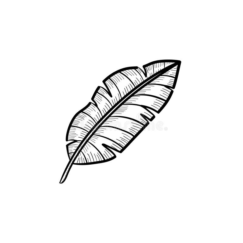 Banana Leaf Hand Drawn Sketch Icon. Stock Vector - Illustration of ... Banana Leaf Hand Drawn Sketch Icon. Stock Vector - Illustration of ...