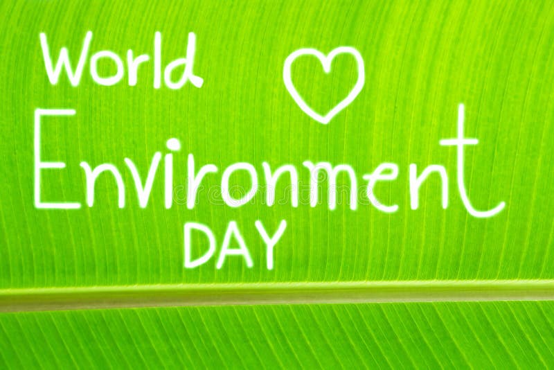 Banana Leaf Textured Write World Environment Day Stock Photos - Free ...