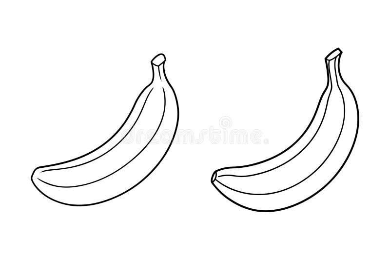 Banana outline vector art. stock vector. Illustration of graphic ...