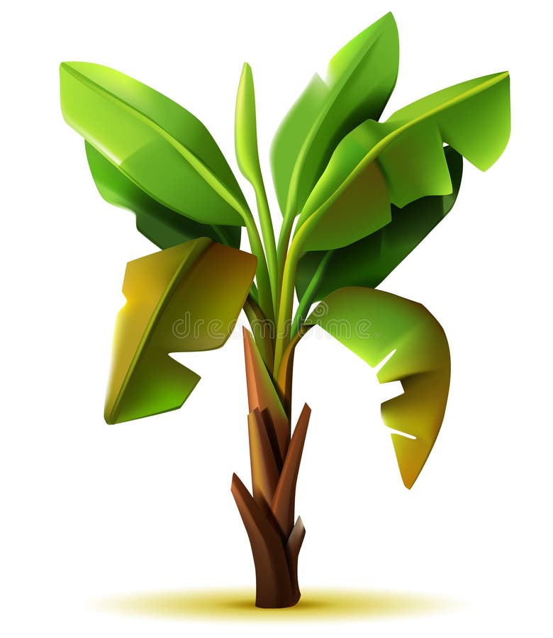 Banana Tree-vector stock vector. Illustration of icon - 45083313
