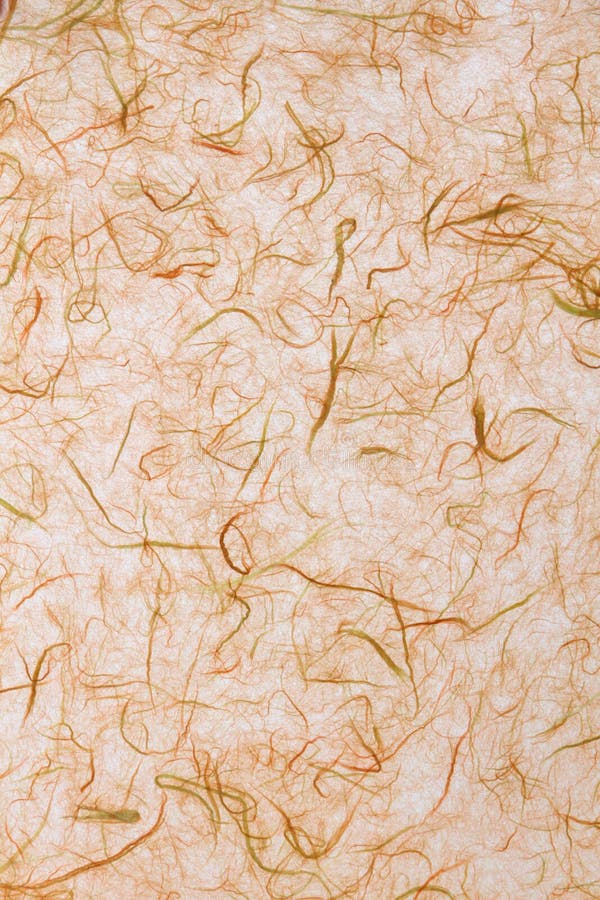 Banana paper stock image. Image of beauty, pastel, edge - 62878357